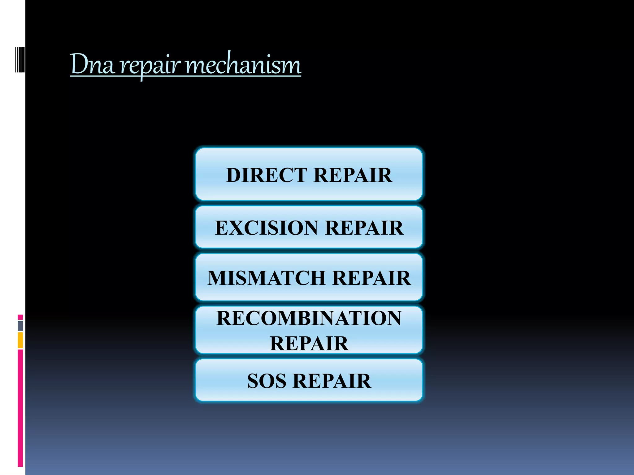 DNA repair mechanisms | PPTX