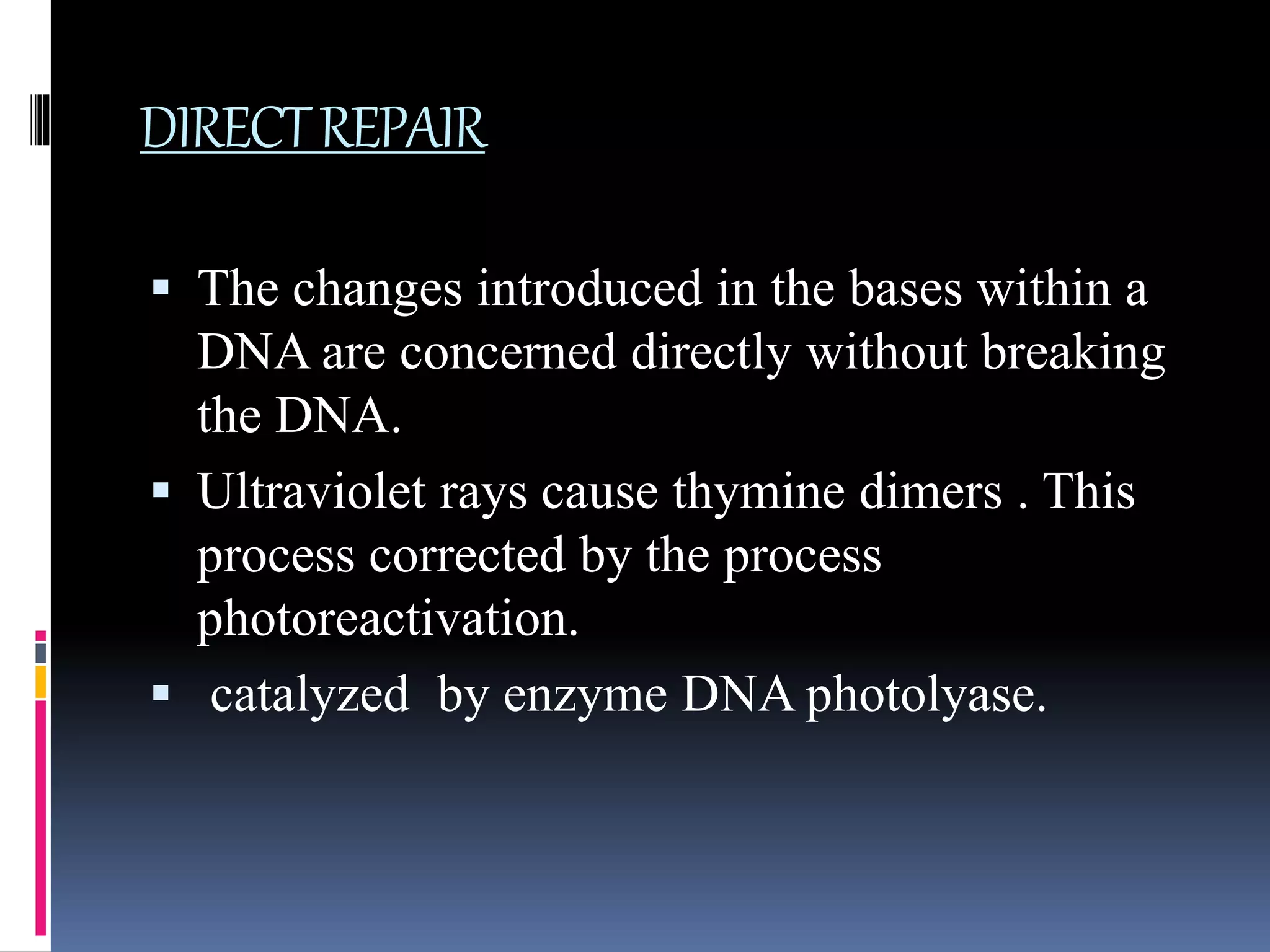 DNA repair mechanisms | PPTX