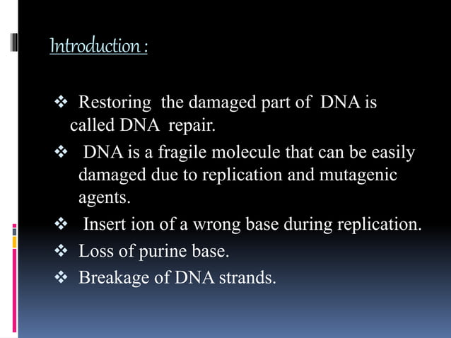 DNA repair mechanisms | PPTX