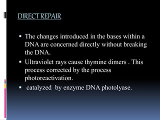 DNA repair mechanisms | PPTX