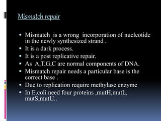 DNA repair mechanisms | PPTX