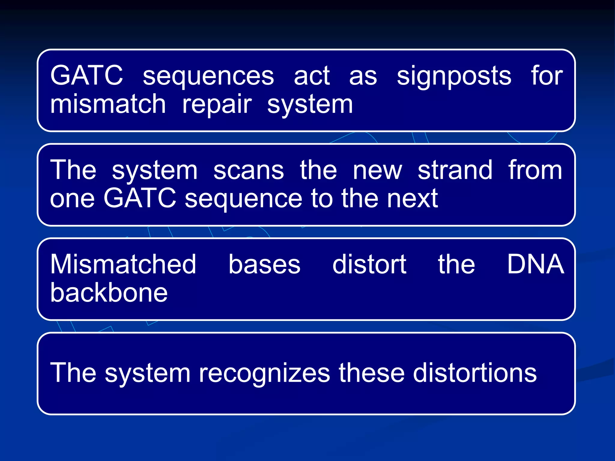 Dna repair systems | PPTX