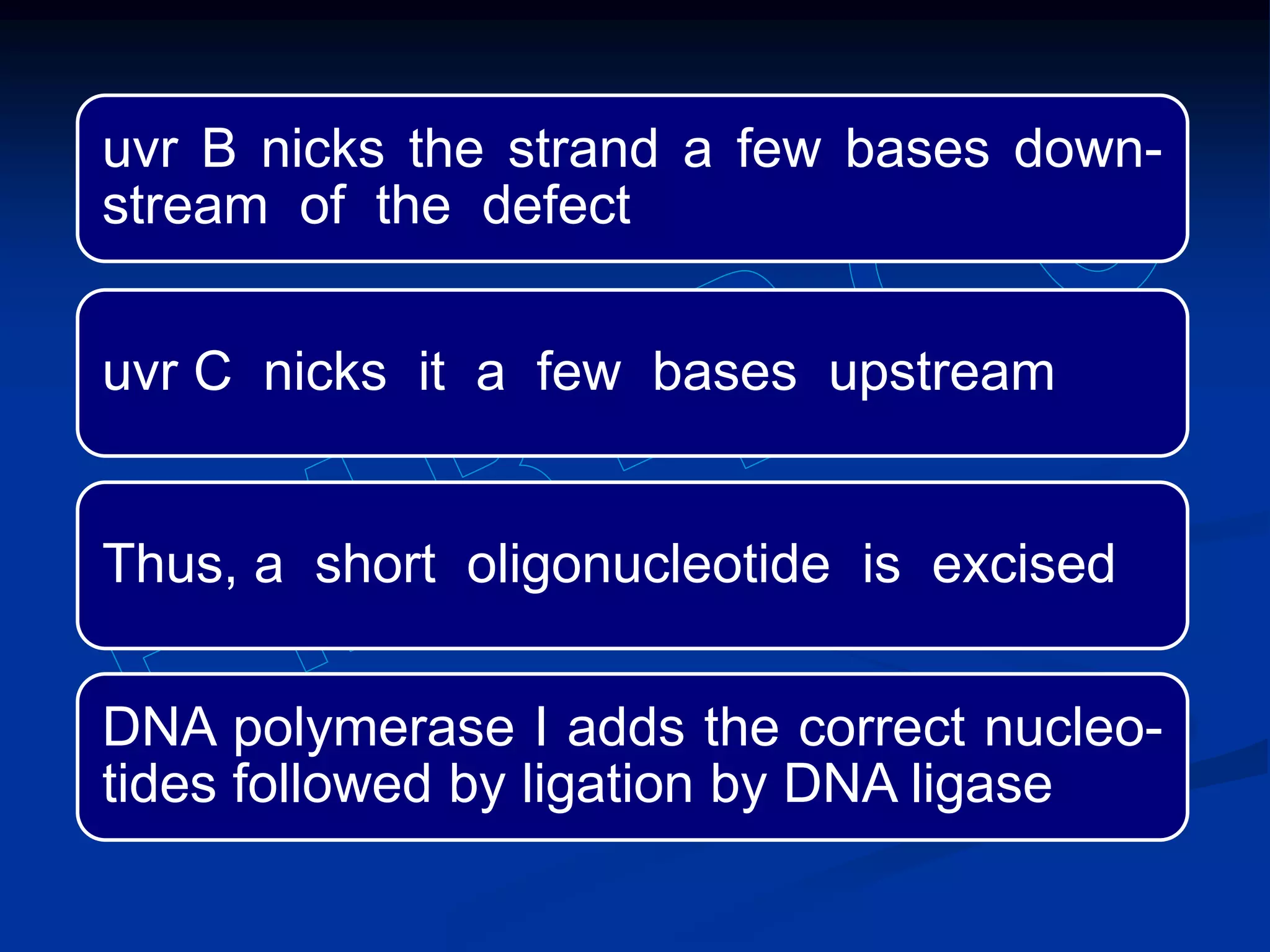 Dna repair systems | PPTX