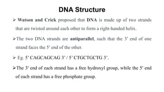 DNA Rep and RNA structure well explained | PPTX