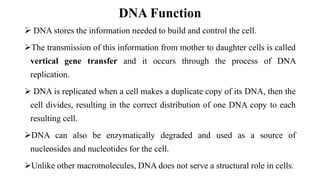 DNA Rep and RNA structure well explained | PPTX