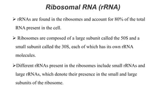 DNA Rep and RNA structure well explained | PPT