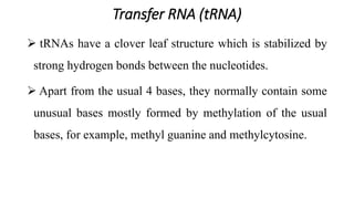 DNA Rep and RNA structure well explained | PPT