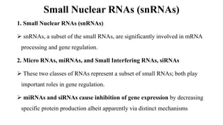DNA Rep and RNA structure well explained | PPT