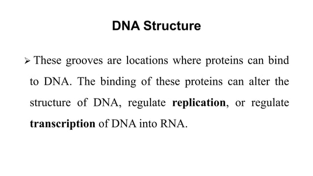 DNA Rep and RNA structure well explained | PPTX