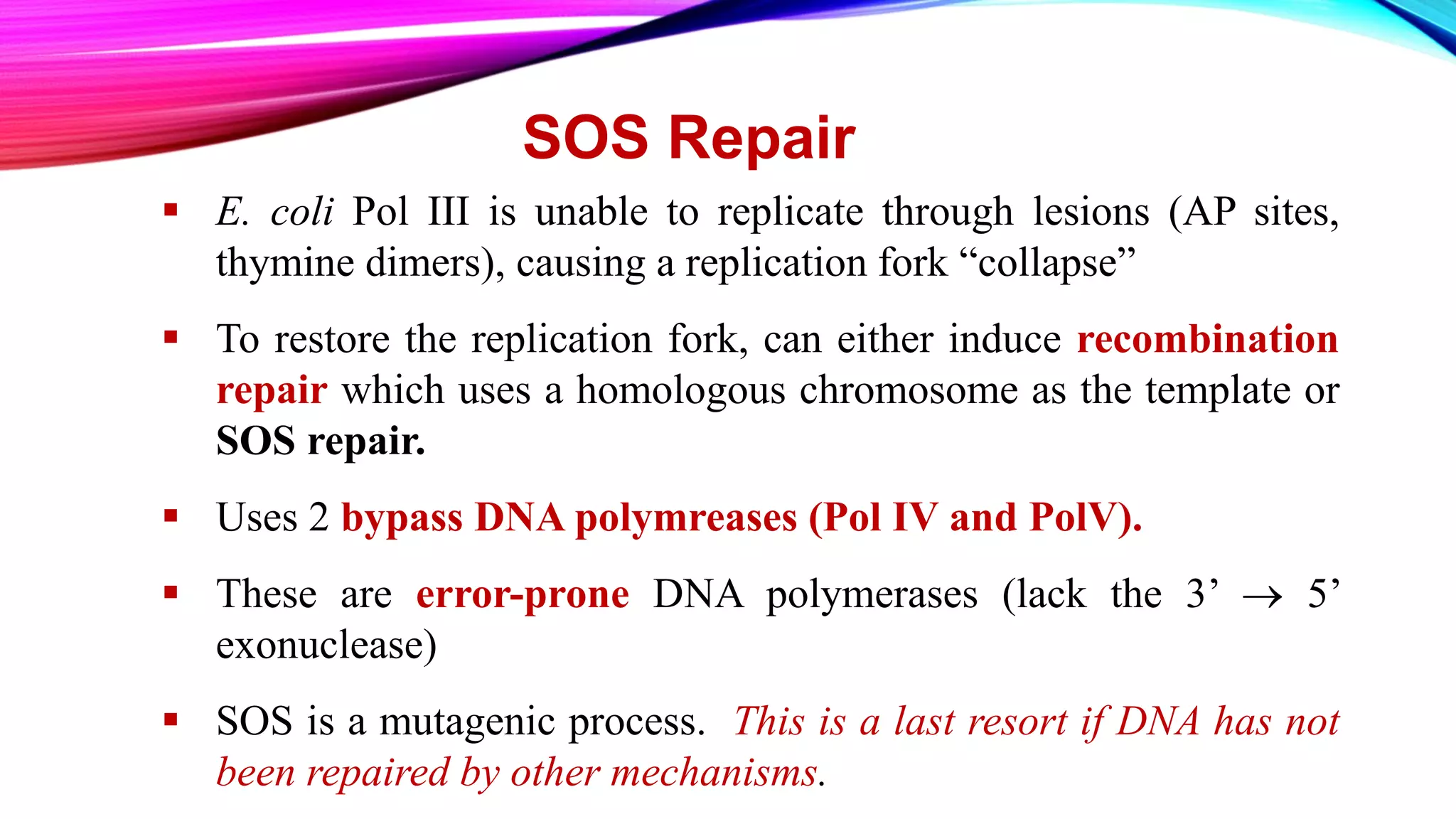 DNA reparing | PPTX