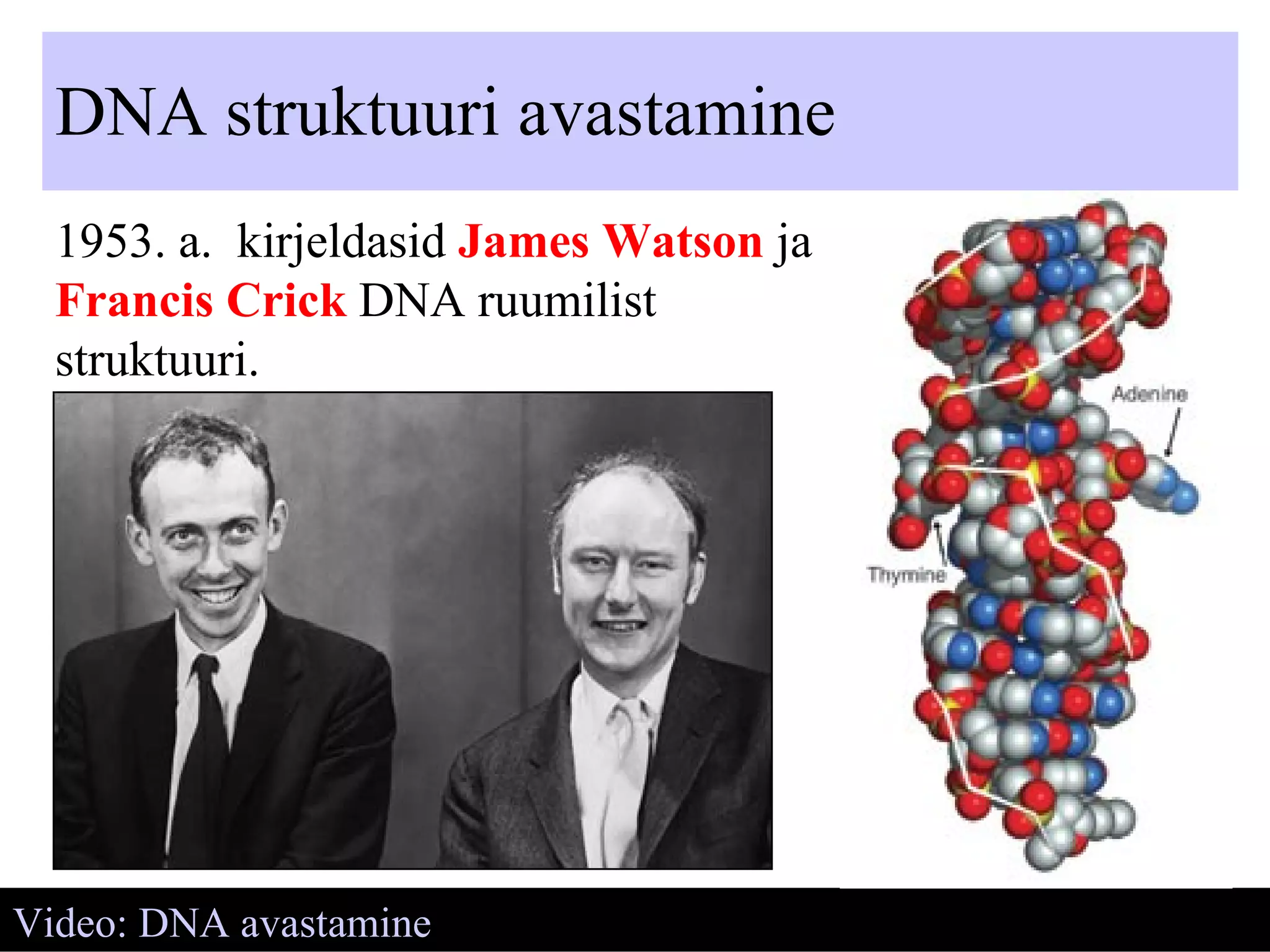 DNA replikatsioon | PPT