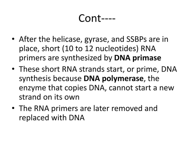 DNA repl.pptx