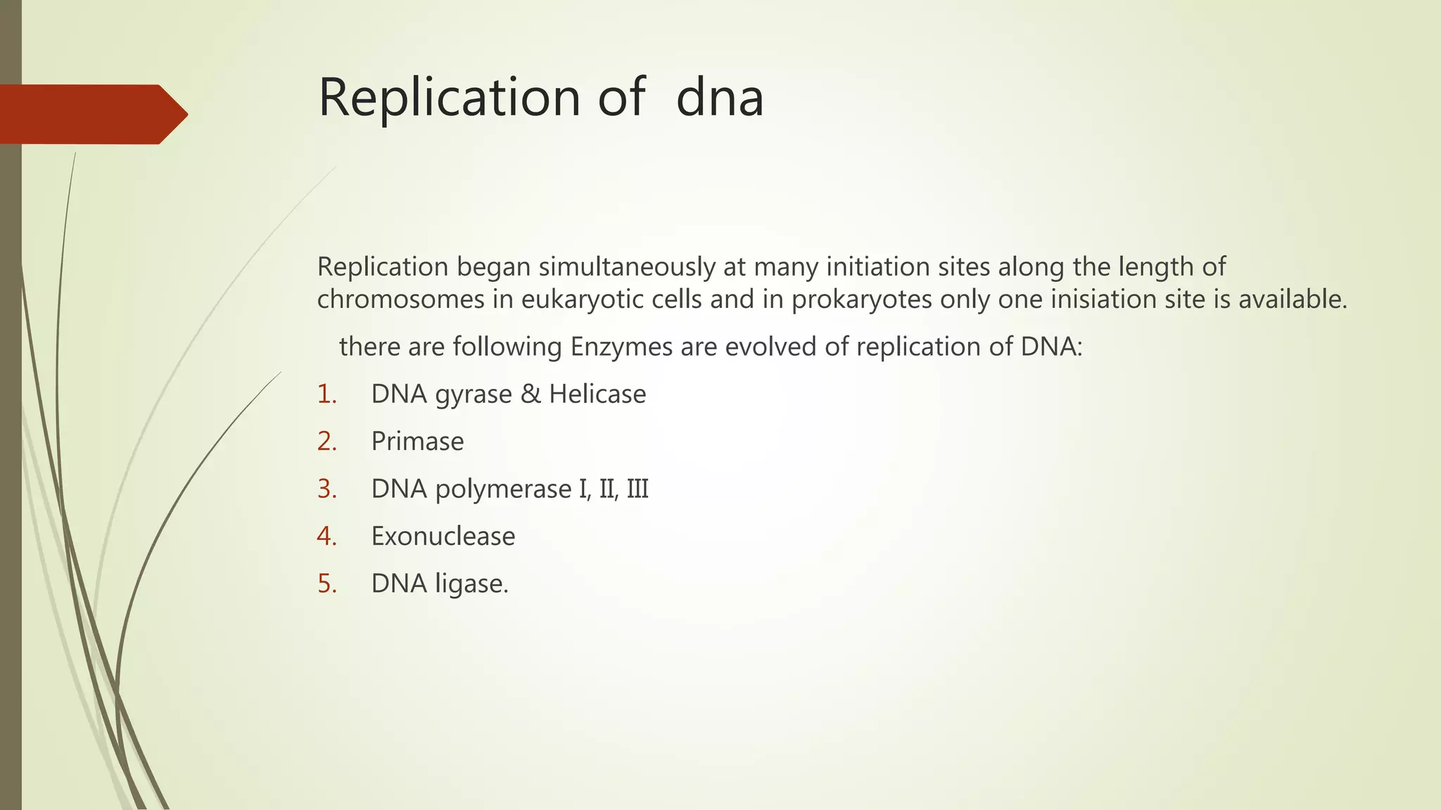 DNA structure and replication | PPTX