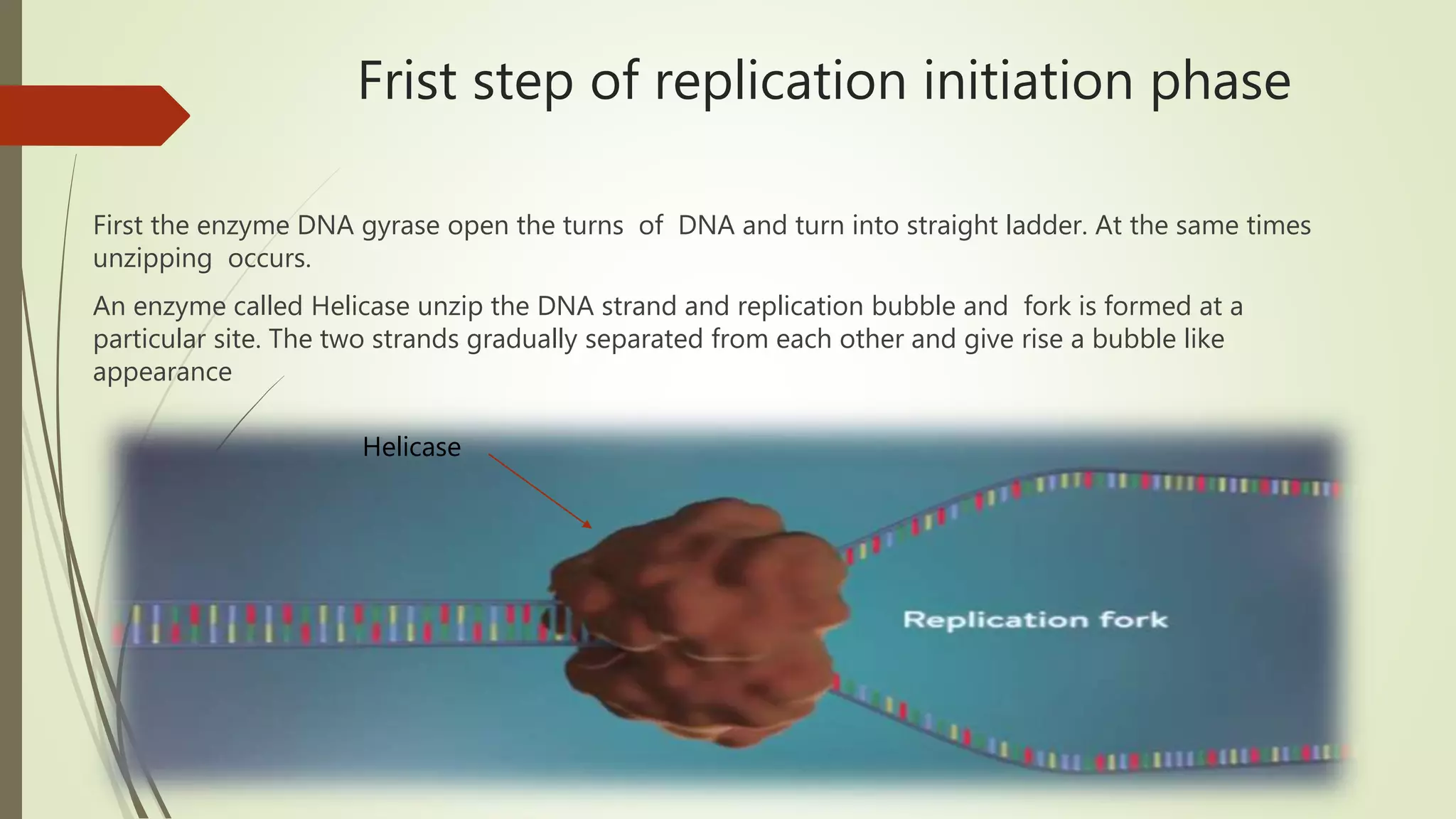 DNA structure and replication | PPTX