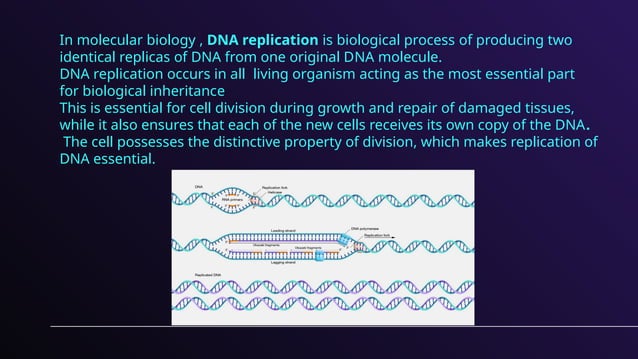DNA Replication PowerPoint presentation. | PPT