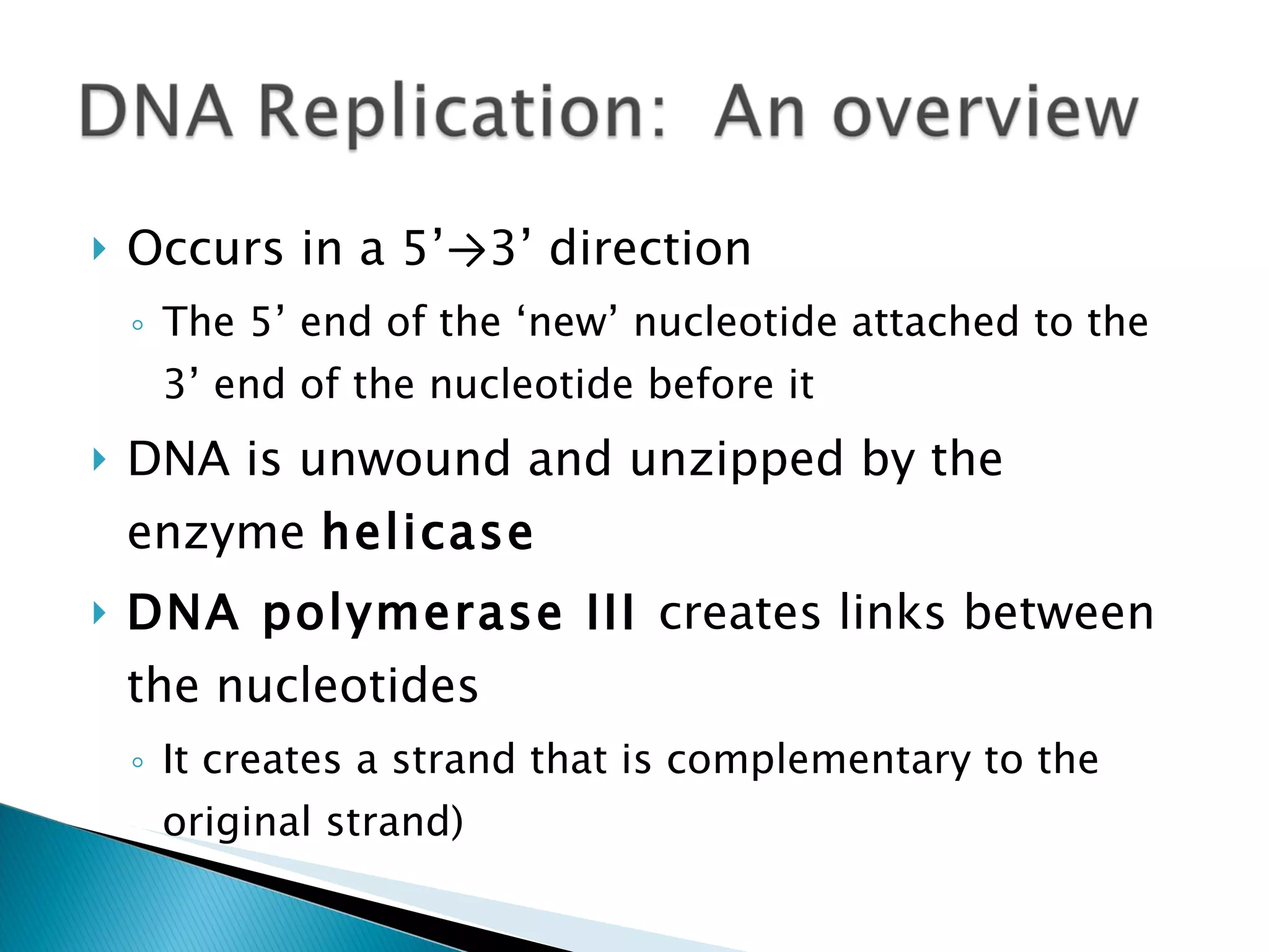 How does DNA replicate itself to form your genes... | PDF