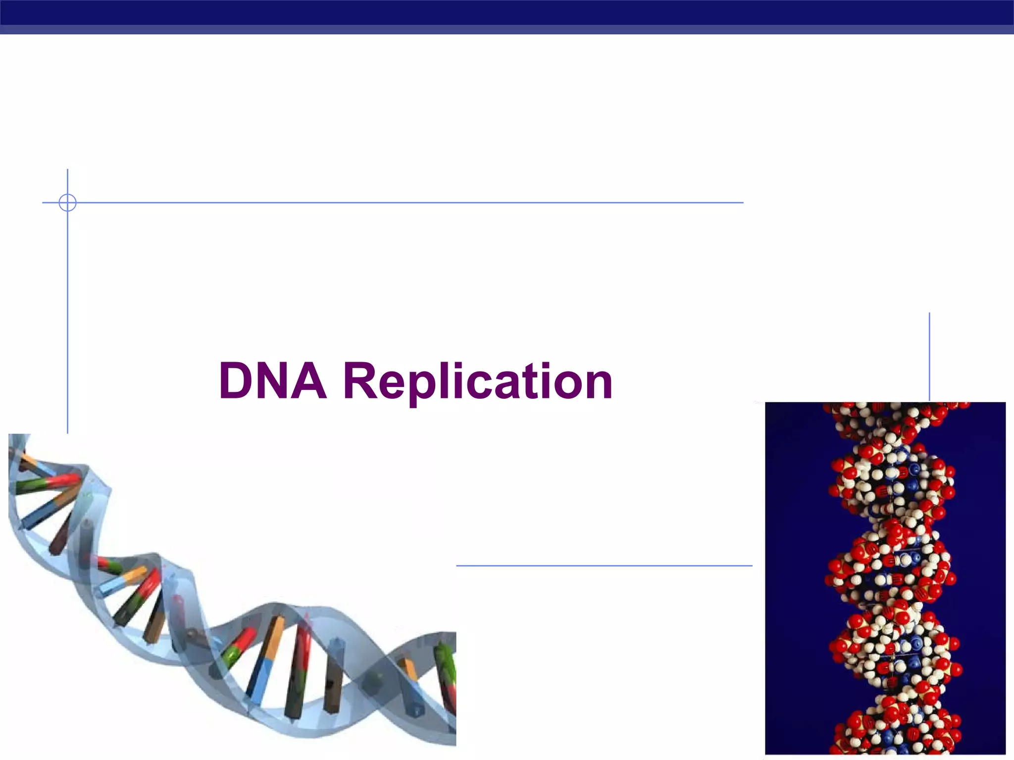 Dna replication | PPT