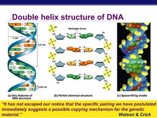 Dna replication | PPT