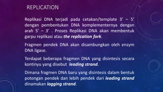 DNA replication | PPTX