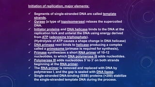 DNA replication | PPTX