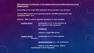 DNA replication | PPTX