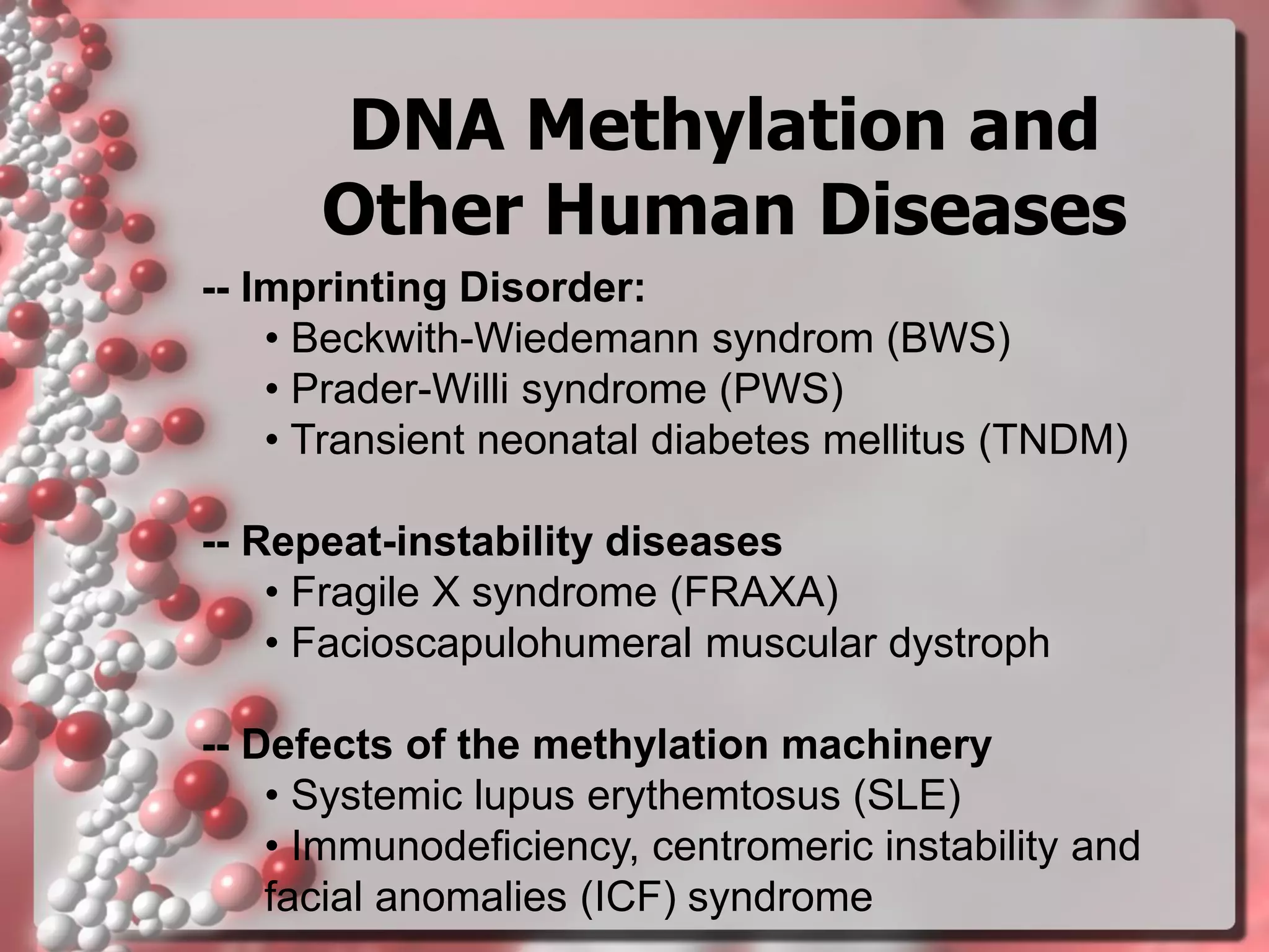 Dna replication | PDF