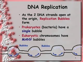 Dna replication | PPT