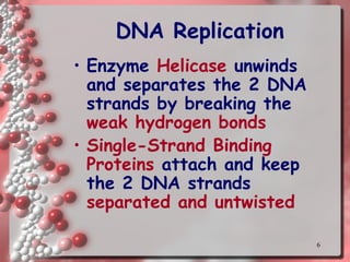 Dna replication | PDF