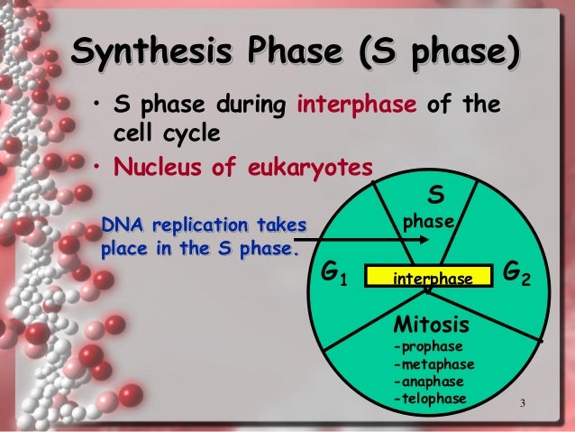 Dna replication