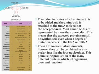 Dna replication | PPT
