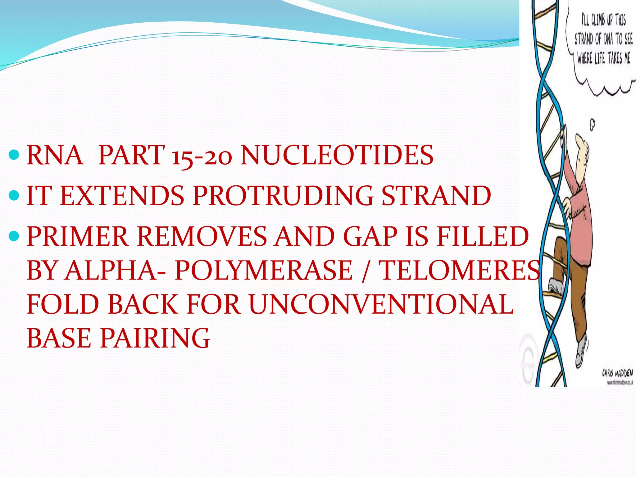 Dna replication | PPTX