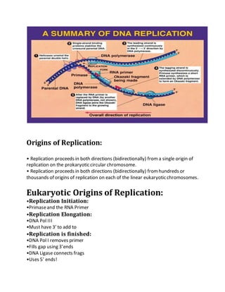 Dna replication | DOCX