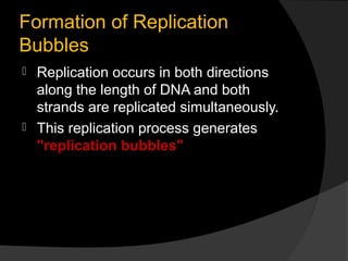 DNA Replication | PPT