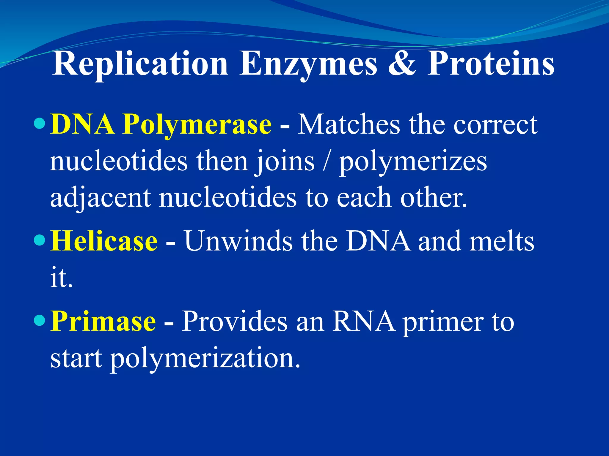 DNA Replication | PPTX