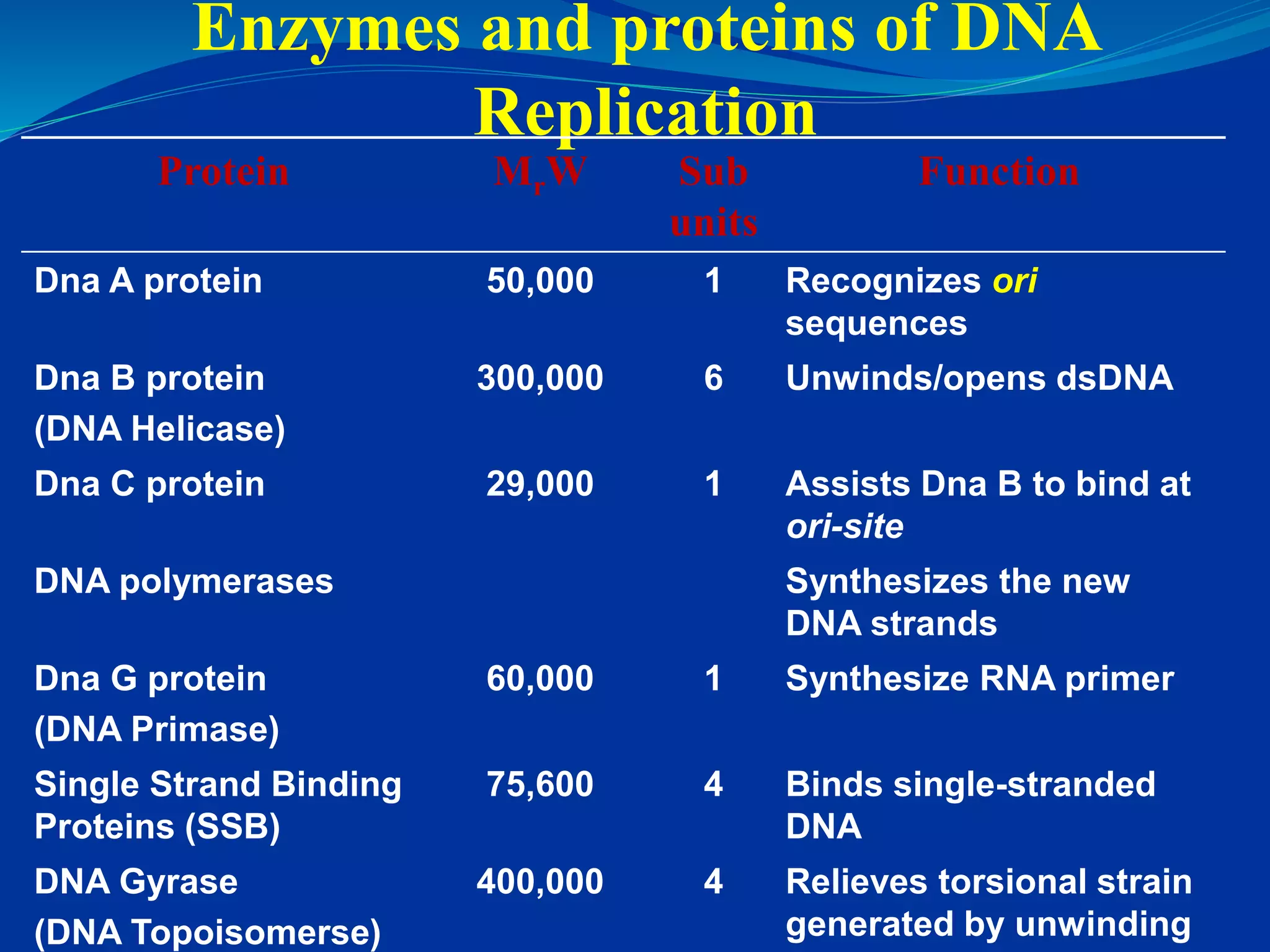 DNA Replication | PPTX