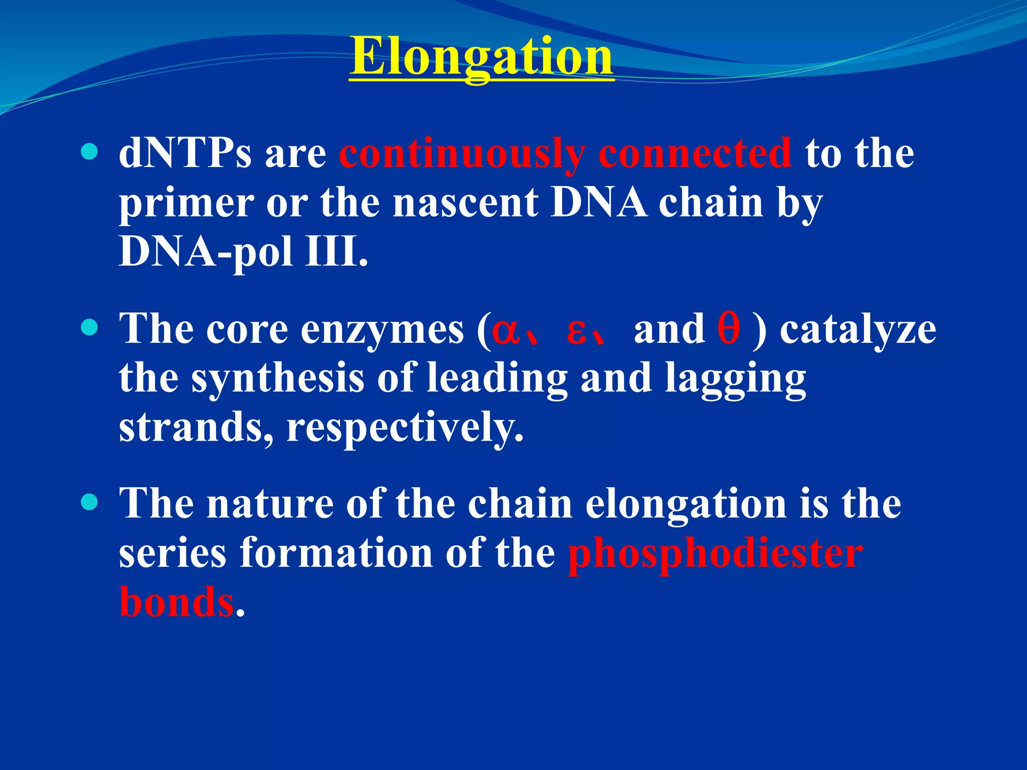 DNA Replication | PPTX