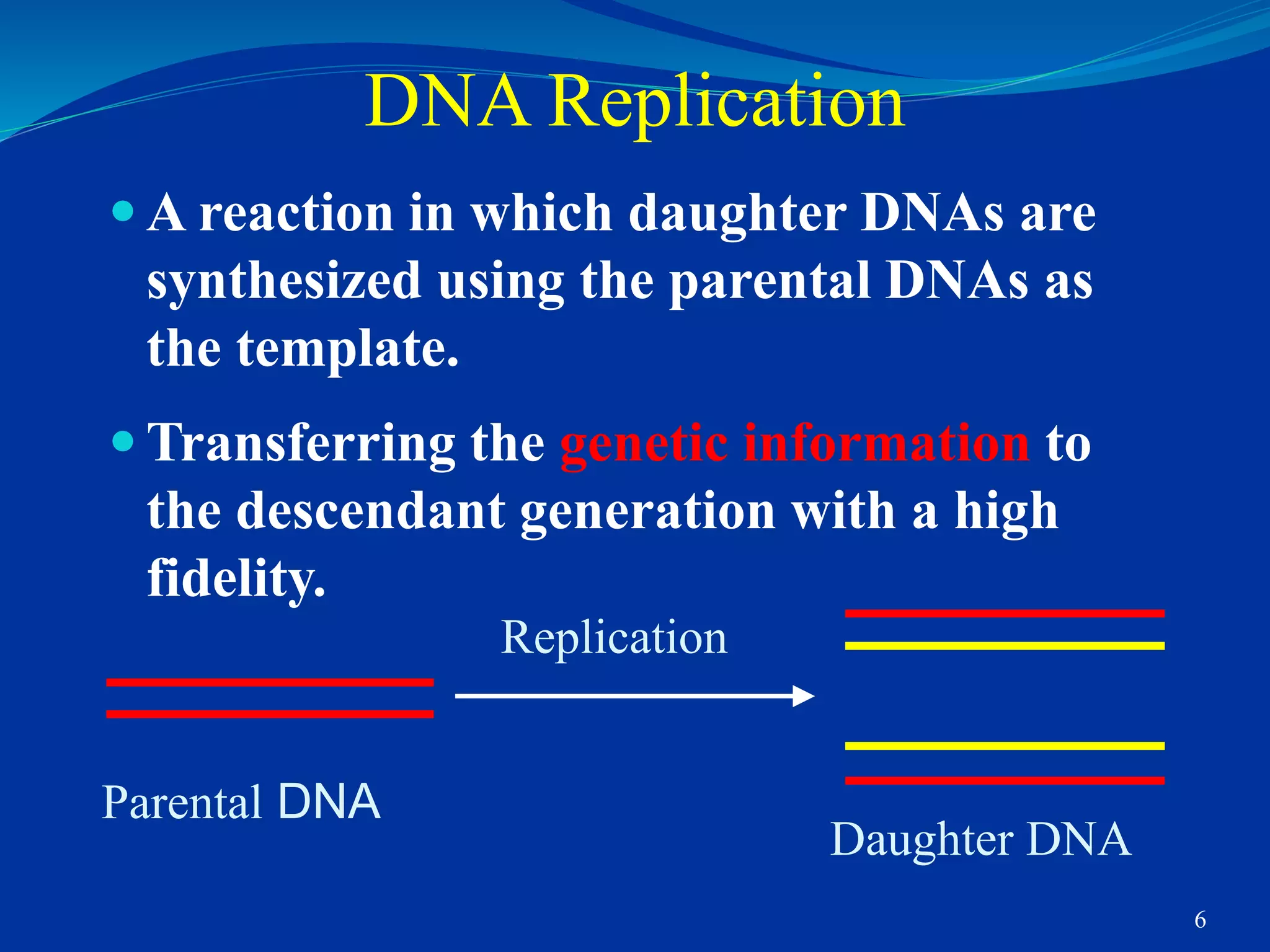 DNA Replication | PPTX