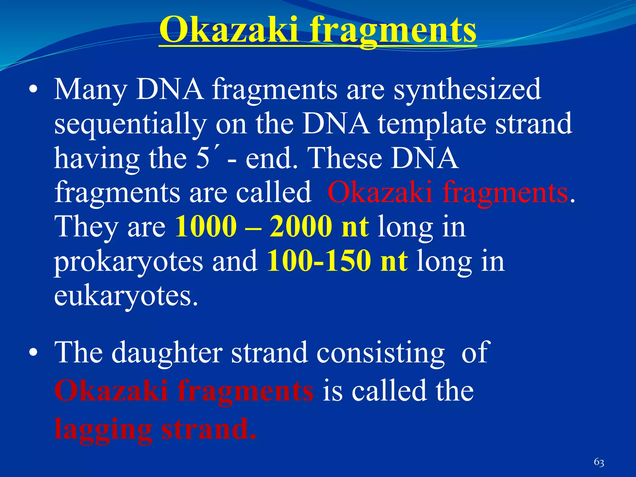 DNA Replication | PPTX