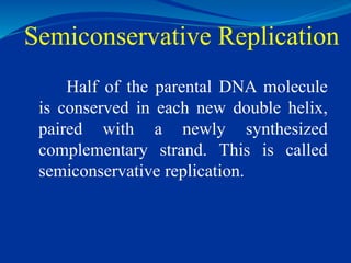 DNA Replication | PPTX
