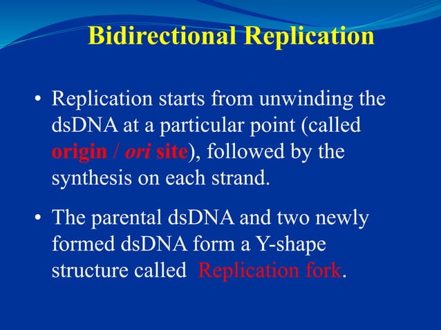 DNA Replication | PPTX