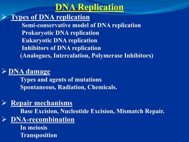 DNA Replication | PPTX