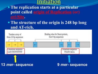 DNA Replication | PPTX
