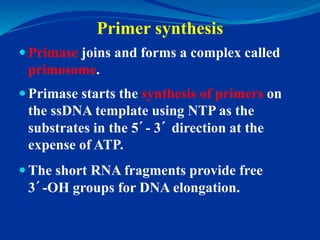 DNA Replication | PPTX