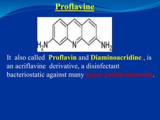 DNA Replication | PPTX