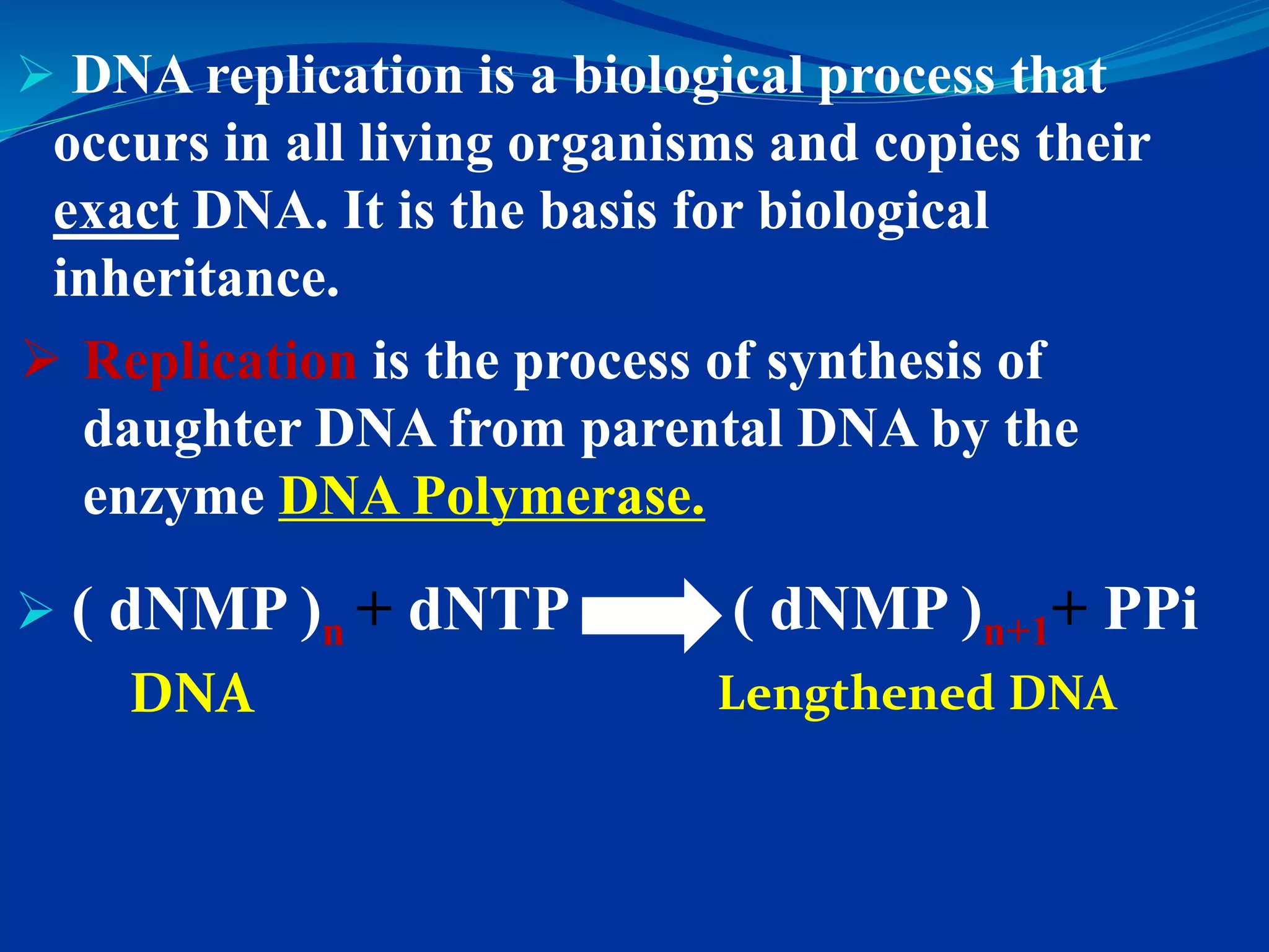 dnareplication-151218084840 (1).pdf
