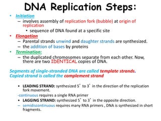 Dna replication | PPT