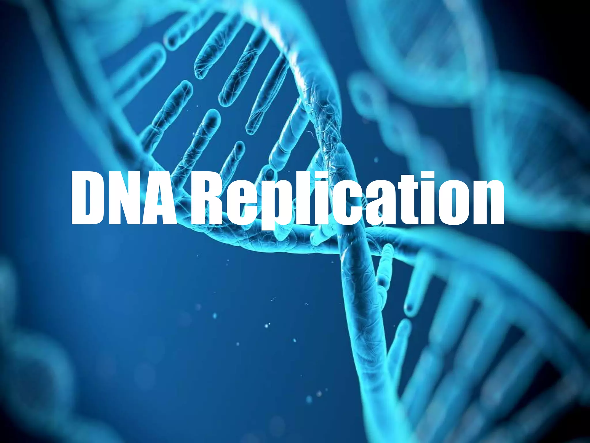 DNA Replication | PPTX