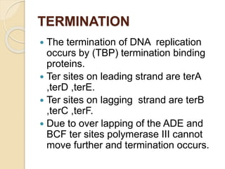 DNA replication -.pptx