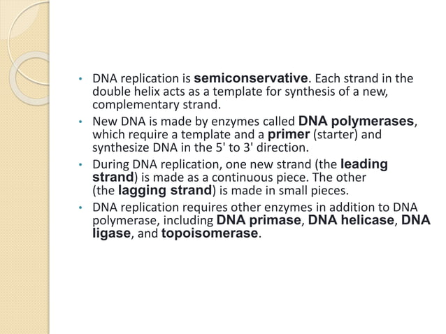 DNA replication -.pptx