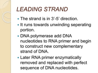 Dna replication | PPTX